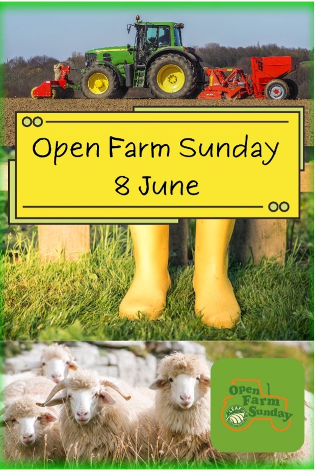 Open Farm Sunday – 8 June 2025 | Southampton District Methodist Church